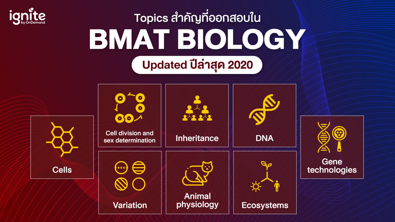 20 Checklist หัวข้อที่ต้องรู้ ก่อนสอบ BMAT BIOLOGY - Ignite by OnDemand